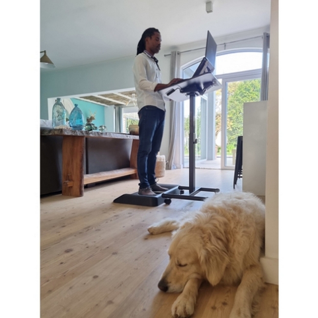 Ergonomic Desk | ERG-MT303MT | SupplyWise